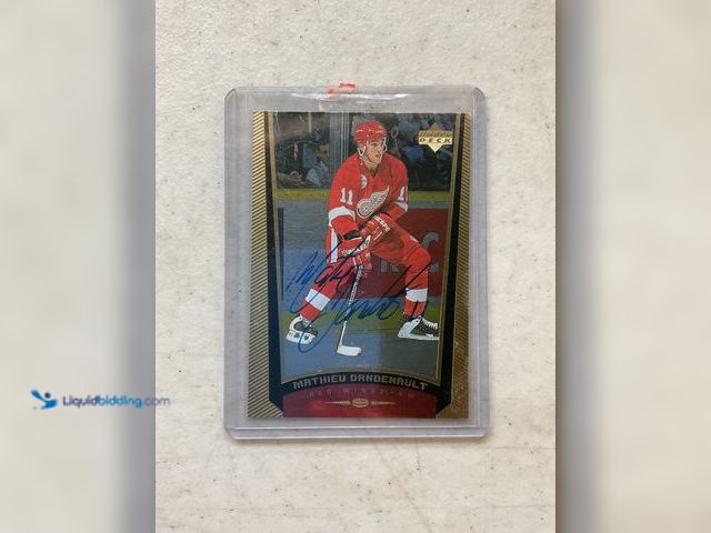LiquidBidding - Lot 49-1814759 - COLLECTIBLE VERY NICE DETROIT RED ...
