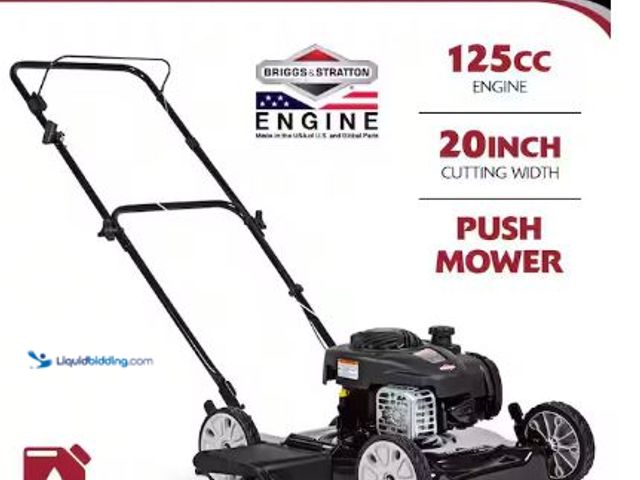 LiquidBidding - Lot 49-1517734 - Murray 20 in. 125 cc Briggs & Stratton ...