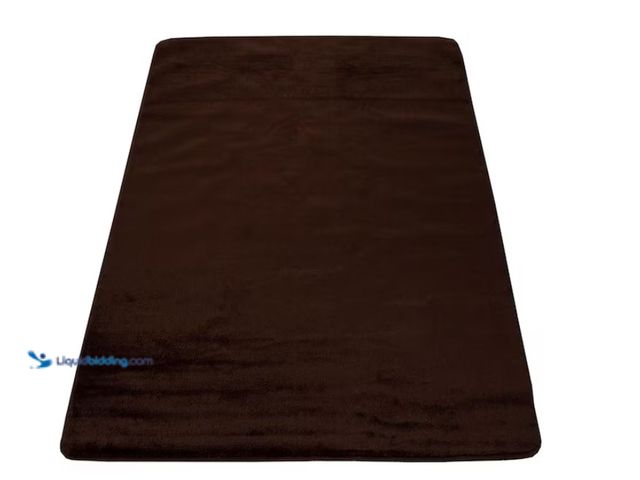 LiquidBidding - Lot 49-1538397 - RugStylesOnline Euro Brown 3 ft. x 5 ...