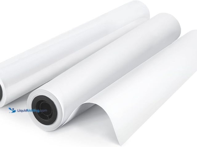LiquidBidding - Lot 49-5424648 - VOISEN Wide Format Paper,2 Rolls ...