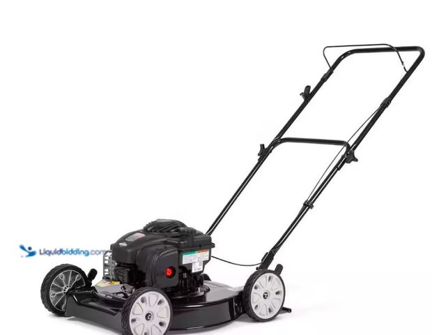 LiquidBidding - Lot 49-1526781 - Murray 20 in. 125 cc Briggs & Stratton ...
