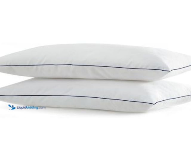 LiquidBidding - Lot 49-3467891 - SILUI Flat Soft Thin Pillows King Size ...