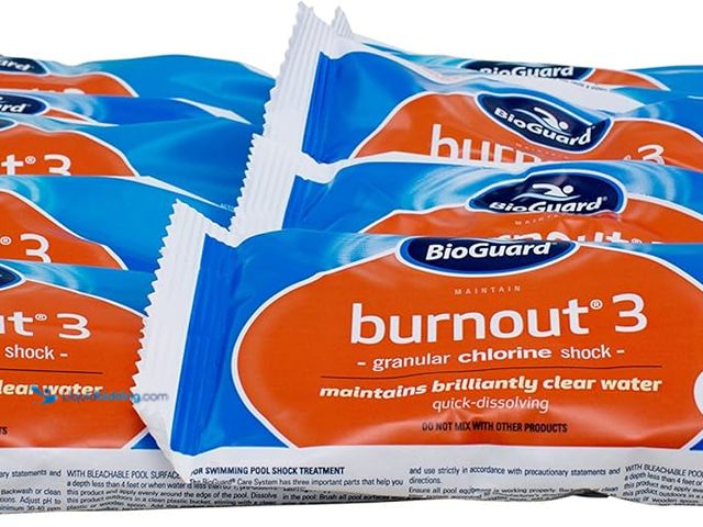 LiquidBidding - Lot 49-5416769 - BioGuard Burnout 3, 1 lb, Pack of 12 ...