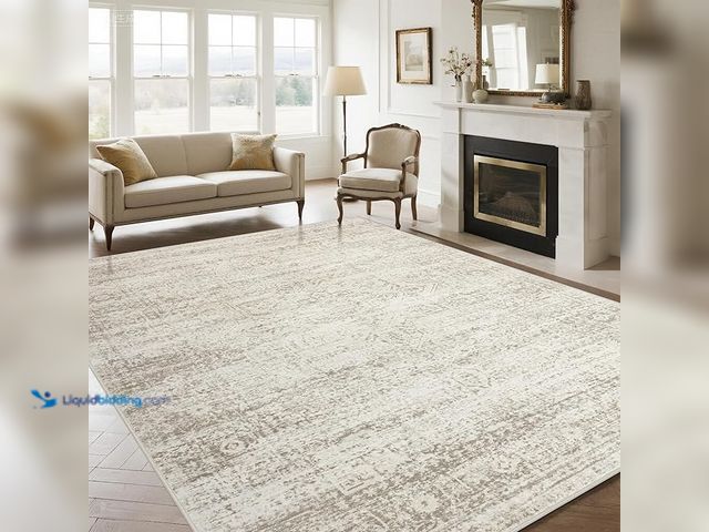 LiquidBidding - Lot 49-3482505 - Washable Rugs 9x12 Area Rugs for ...