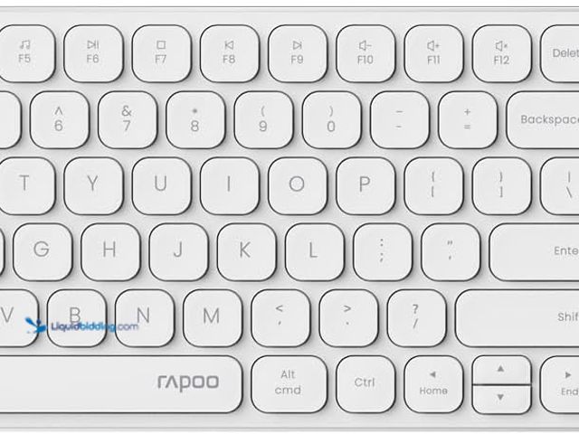 LiquidBidding - Lot 49-5533895 - RAPOO 9050S Multi-Device Keyboard and ...