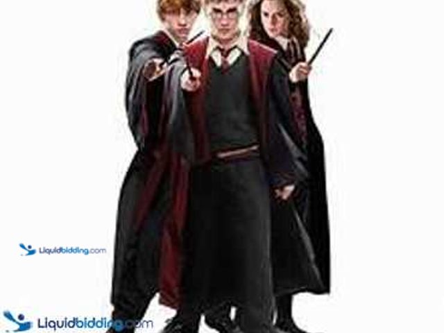 LiquidBidding - Lot 49-5430902 - Harry Potter and the Order of the ...