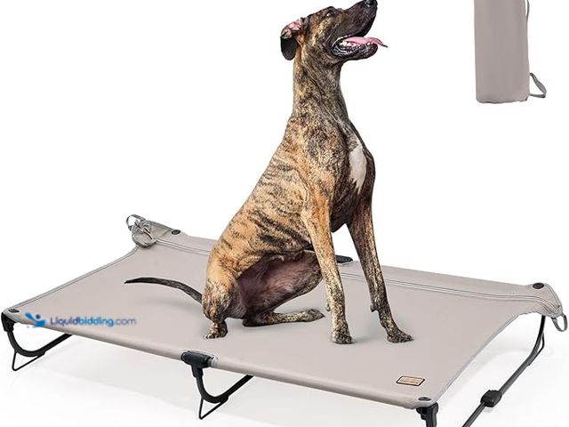LiquidBidding - Lot 49-1525913 - Daisy Cot, XL Foldable Elevated Dog ...