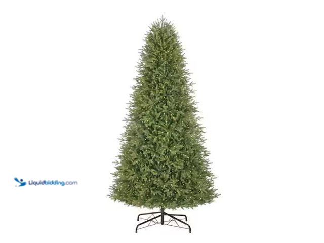 LiquidBidding - Lot 49-1557494 - Home Accents Holiday 9 ft. Jackson ...