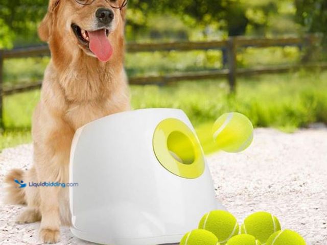 LiquidBidding - Lot 49-1540370 - ALL FOR PAWS Automatic Dog Ball ...