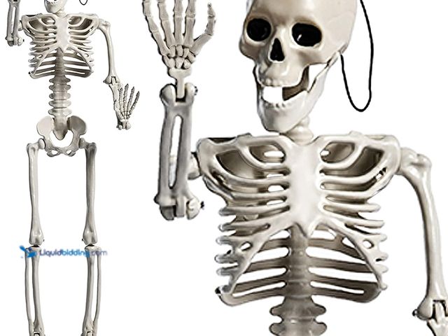 LiquidBidding - Lot 49-5424077 - 24 Inches Halloween Skeleton, LED ...