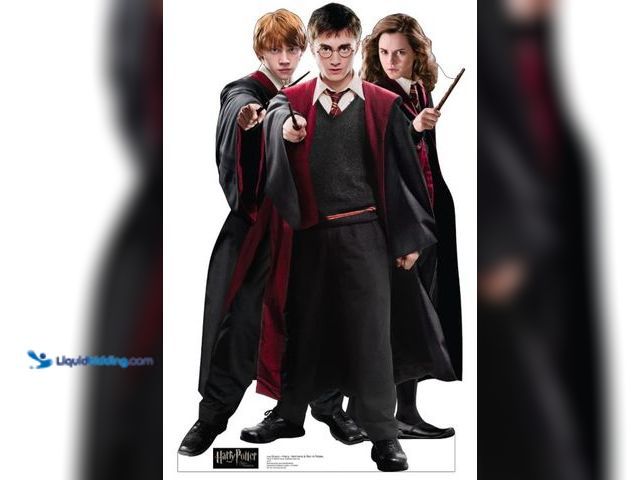 LiquidBidding - Lot 49-5430905 - Harry Potter and the Order of the ...