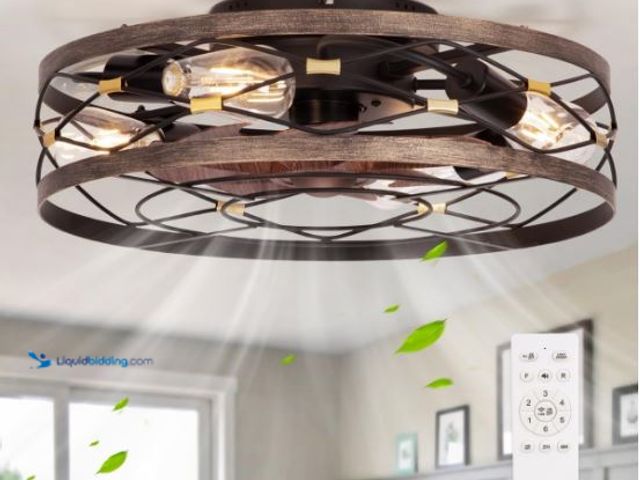 LiquidBidding - Lot 49-3429070 - Small Fandelier Caged Ceiling Fan with ...