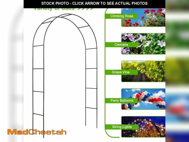 MadCheetah.com - Lot 74-13055423 - Arttoreal 7'8" H x 4'5" W Patio ...