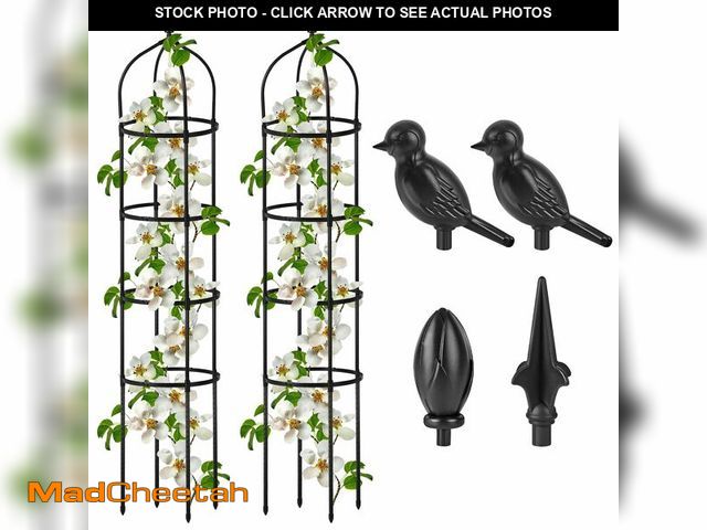 MadCheetah.com - Lot 74-12449510 - 2 Pcs Garden Obelisk Trellis for ...