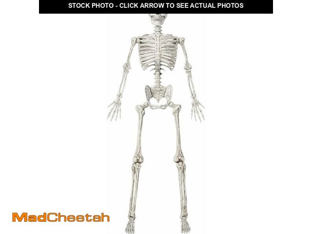 MadCheetah.com - Lot 74-13106334 - JOYIN 6.9 FT Halloween Posable Life ...
