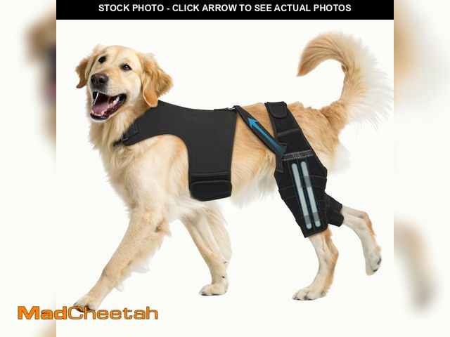 MadCheetah.com - Lot 74-12959525 - Dog Knee Brace for Torn ACL Hind Leg ...