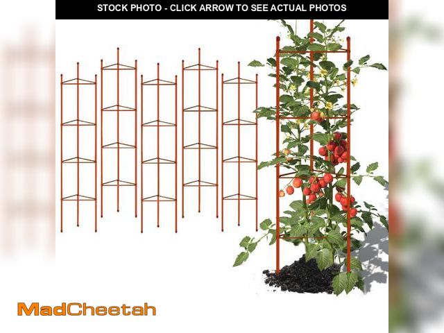 MadCheetah.com - Lot 74-12232405 - Tomato Cage, 5ft Tomato Cages for ...