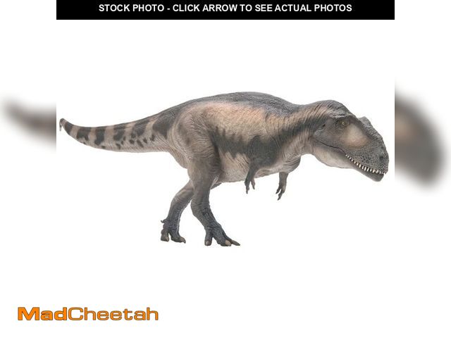 MadCheetah.com - Lot 74-12624527 - PNSO Prehistoric Dinosaur Models (68 ...