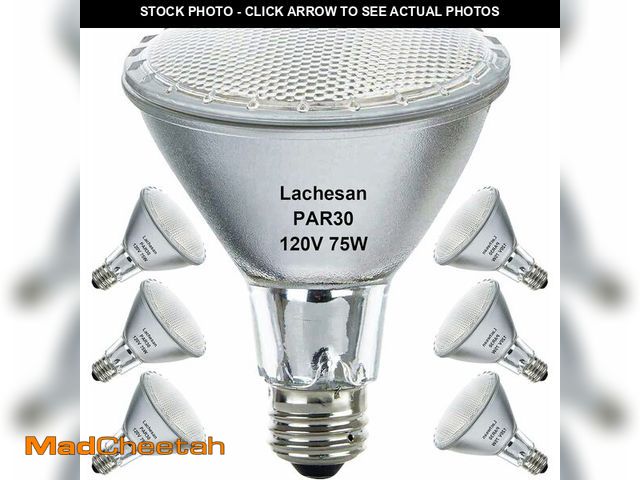 MadCheetah.com - Lot 74-12962247 - Lachesan Par30 Halogen Flood Light ...