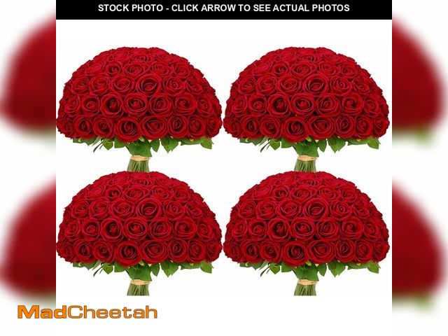 MadCheetah.com - Lot 74-12979551 - Waipfaru 100 Pcs Red Roses ...