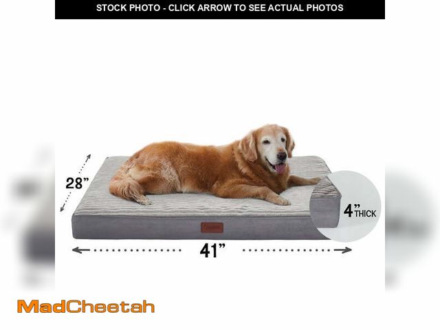 MadCheetah.com - Lot 74-13044284 - Ophanie 41in Gray Orthopedic Dog Bed ...