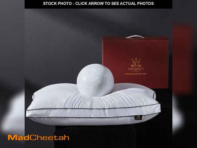 MadCheetah.com - Lot 74-13689174 - L LOVSOUL Goose Feather Down Pillow ...