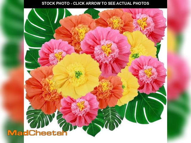 MadCheetah.com - Lot 74-12710319 - (MISSING PIECES) Canlierr 80 Pack ...