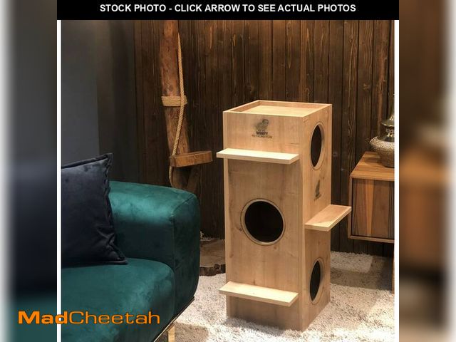 MadCheetah.com - Lot 74-13158454 - Woofy Pet Catsy 14A The special ...