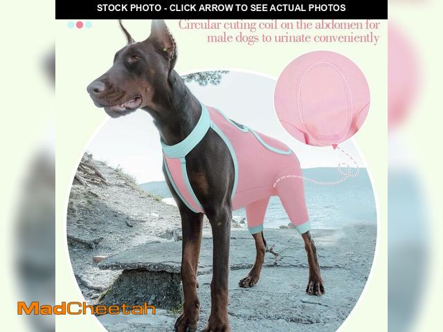 MadCheetah.com - Lot 74-12846130 - ROZKITCH Dog Surgery Leg Sleeve Rear ...