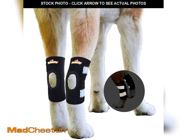 MadCheetah.com - Lot 74-12715278 - NeoAlly Dog Canine Braces for Rear ...