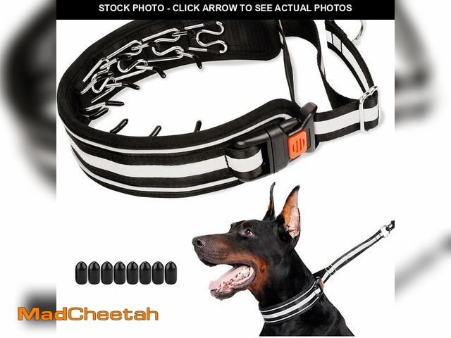 MadCheetah.com - Lot 74-12329060 - Mayerzon Martingale No Pull Dog ...