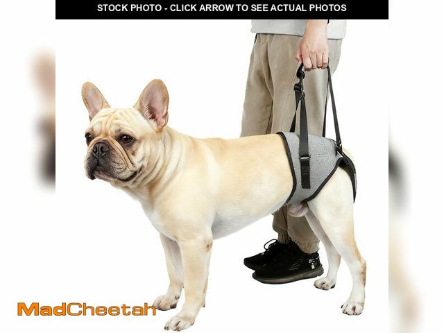 MadCheetah.com - Lot 74-12453739 - GabeFish Support Dog Harness for ...