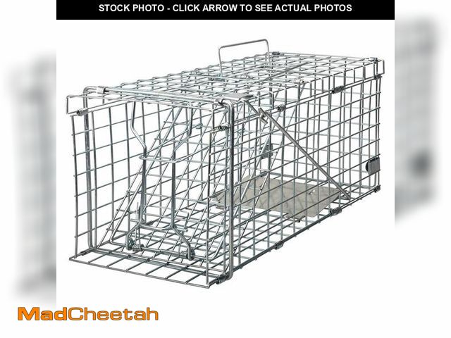 MadCheetah.com - Lot 74-12453895 - Gingbau Squirrel Trap Heavy Duty ...
