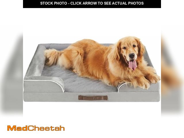 MadCheetah.com - Lot 74-13041359 - Friends Forever Orthopedic Dog Bed ...