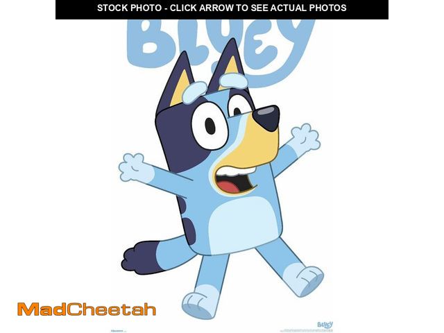 MadCheetah.com - Lot 74-13087889 - Trends International Bluey - Bluey ...