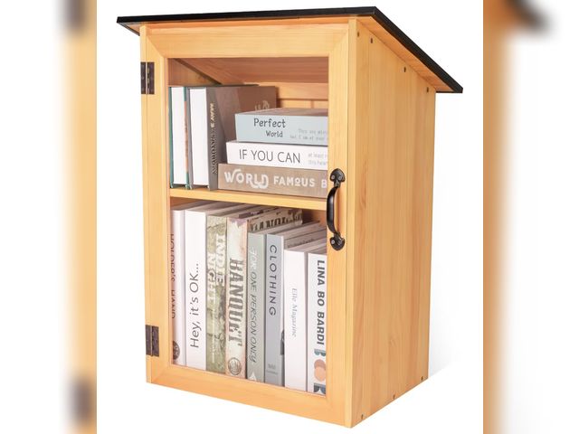 JDCBidding.com - Lot 96-182929 - Outdoor Library Book Box - Double Free ...